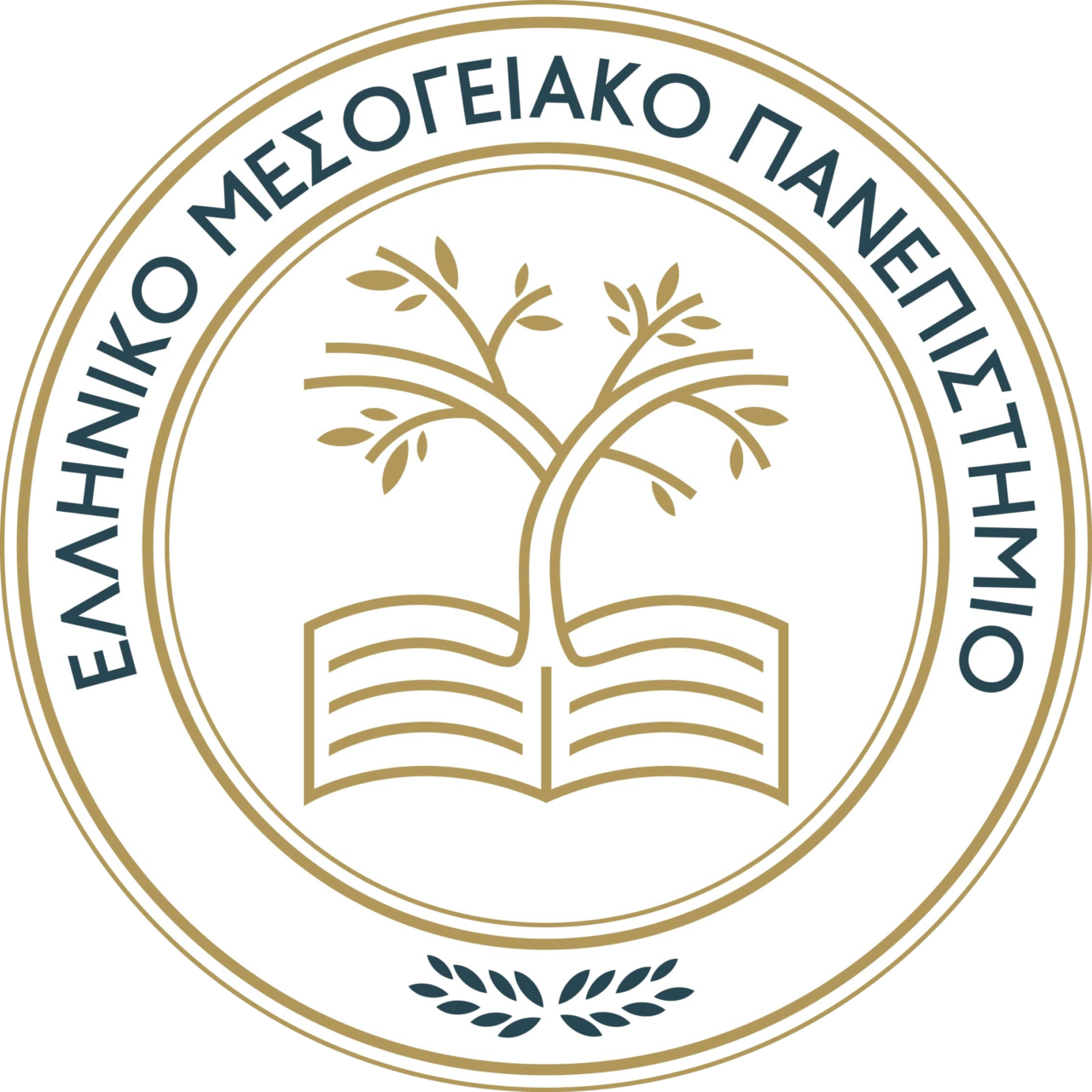 ΔΠΜΣ στη Λογιστική και Ελεγκτική | Ελληνικό Μεσογειακό Πανεπιστήμιο